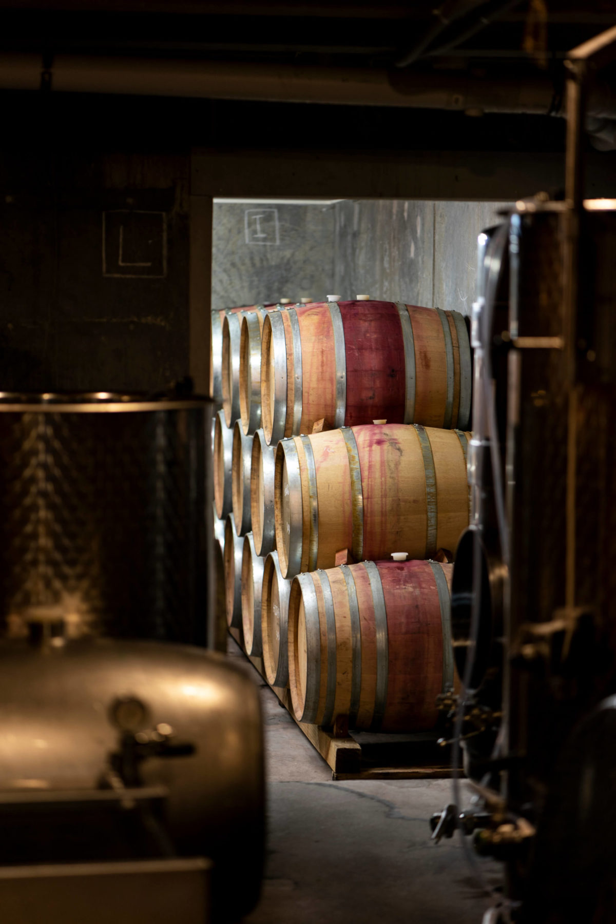 Cellar Club - Mount Edward Winery - Central Otago